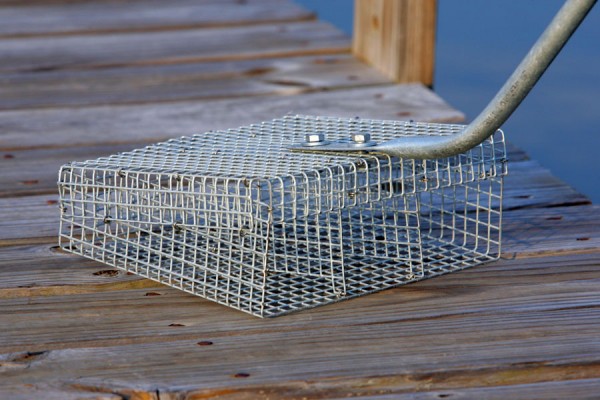 Small Sand Flea Rake | Pinfish Traps, Live Bait Pens, Crab Traps ...